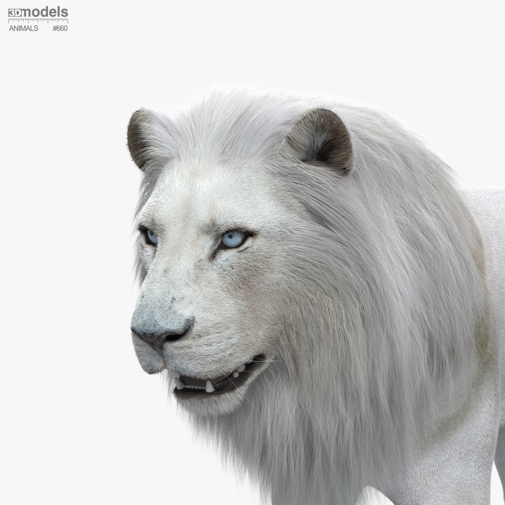White Lion 3D model - Download Mammals on 3DModels.org