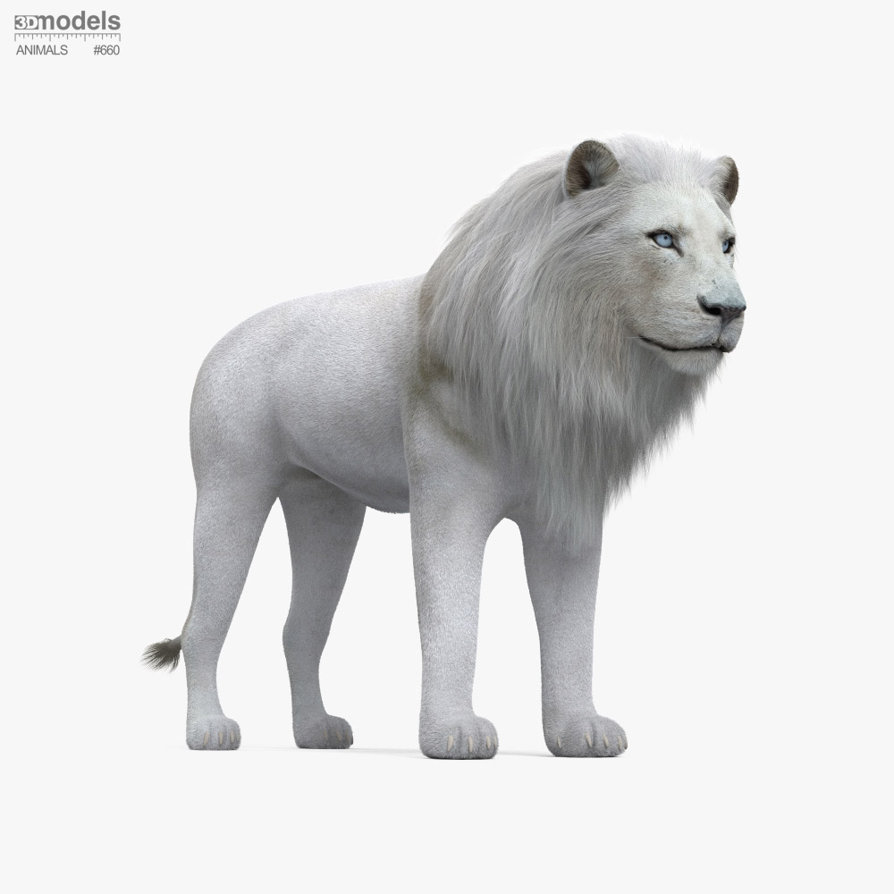 White Lion 3D model - Download Mammals on 3DModels.org
