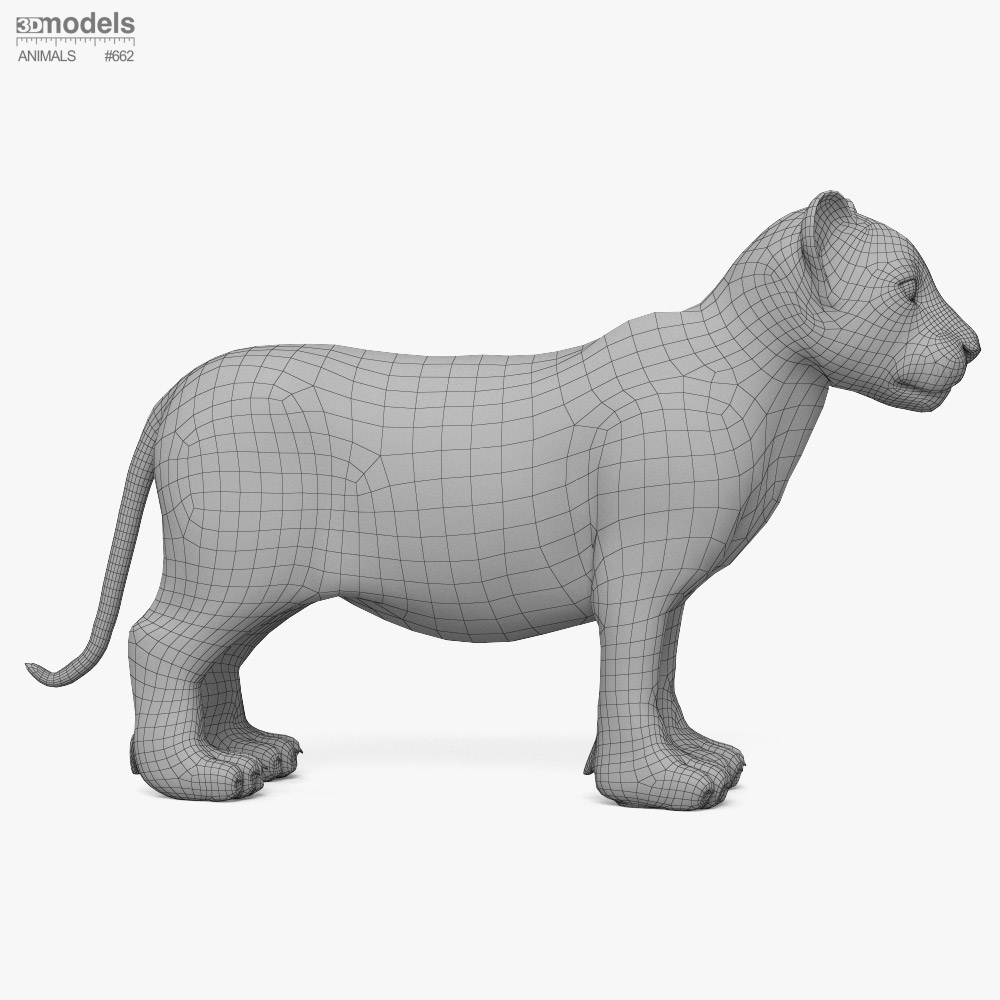 White Lion Cub 3D model - Download Mammals on 3DModels.org