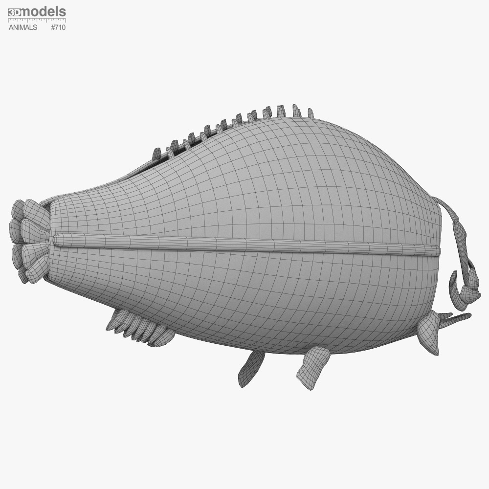 Sistema Muscular Del Pez Modelo 3D - Descargar Pescados activado ...