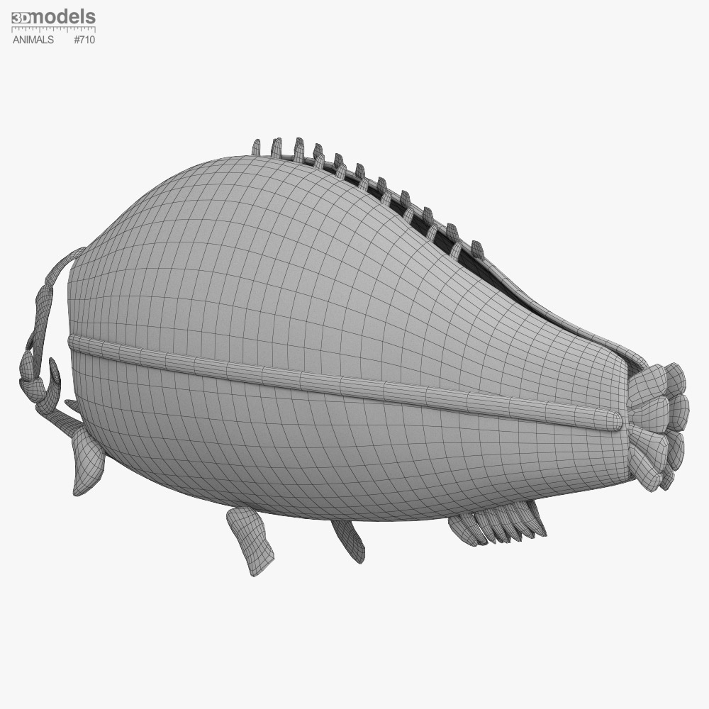 Fish Muscular System 3D model - Download Fish on 3DModels.org