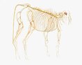 Complete Cow Anatomy 3D model - Download Mammals on 3DModels.org
