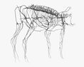 Complete Cow Anatomy 3D model - Download Mammals on 3DModels.org