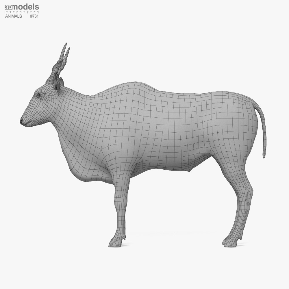 Common Eland 3D model - Download Mammals on 3DModels.org