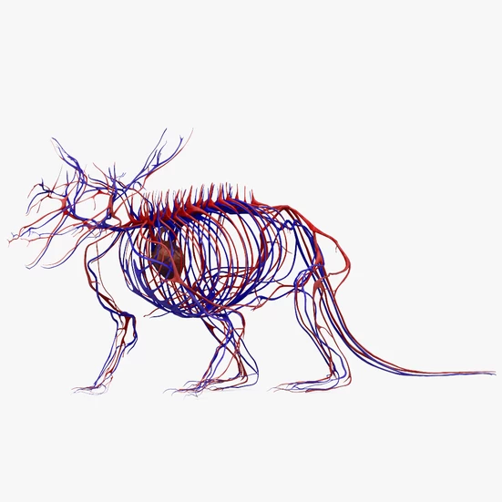 Mouse 3D Models Download - 3DModels.org