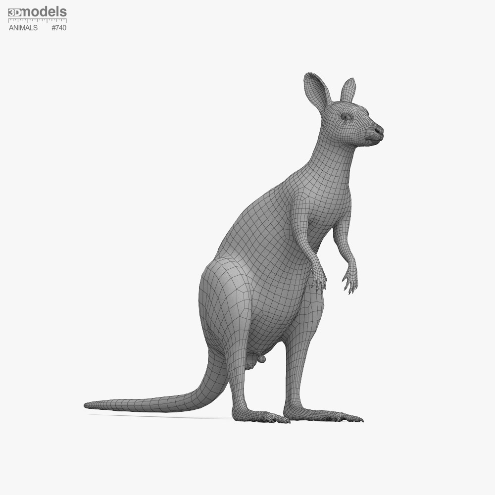 Red Necked Wallaby 3D model - Download Mammals on 3DModels.org