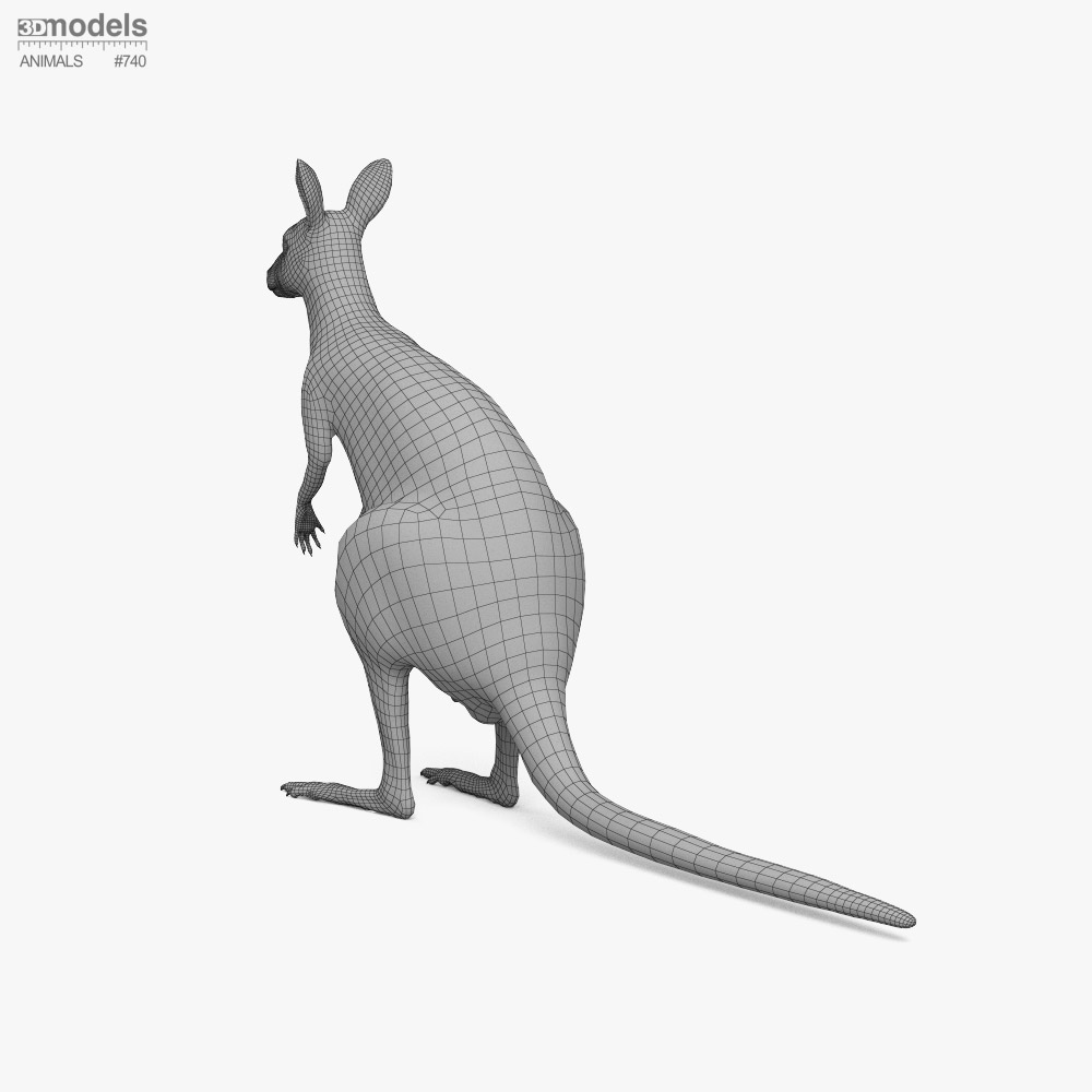 Red Necked Wallaby 3D model - Download Mammals on 3DModels.org
