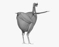 Complete Chicken Anatomy 3D model - Download Birds on 3DModels.org