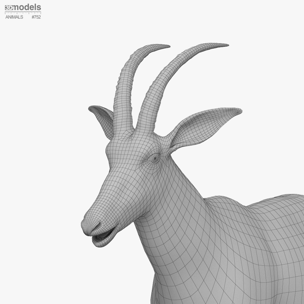 Roan Antelope 3D model - Download Mammals on 3DModels.org