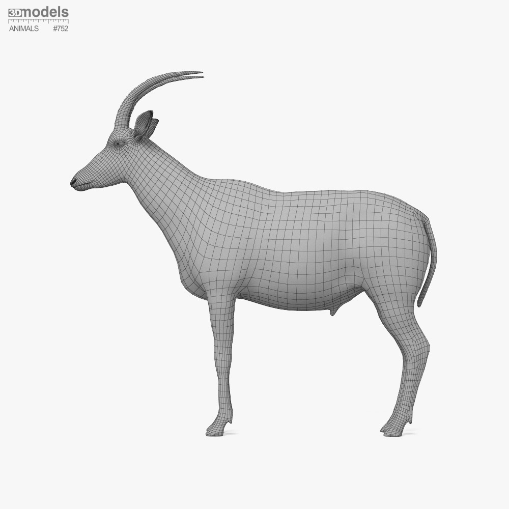 Roan Antelope 3D model - Download Mammals on 3DModels.org