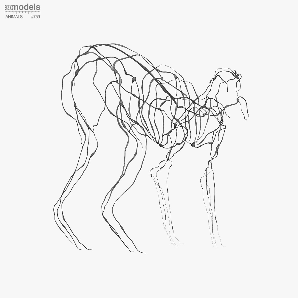 Rabbit Lymphatic System 3D model - Download Mammals on 3DModels.org