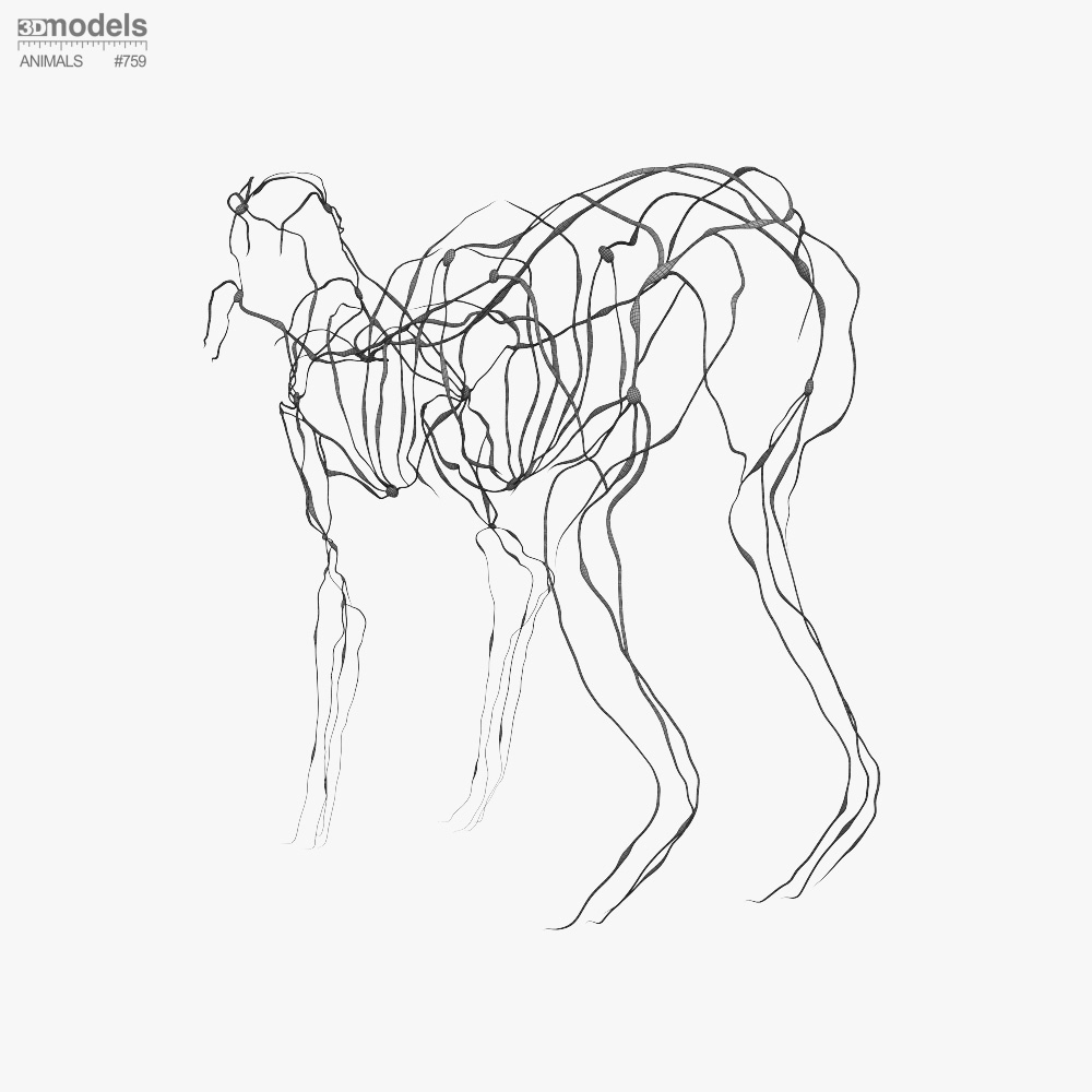 Rabbit Lymphatic System 3D model - Download Mammals on 3DModels.org