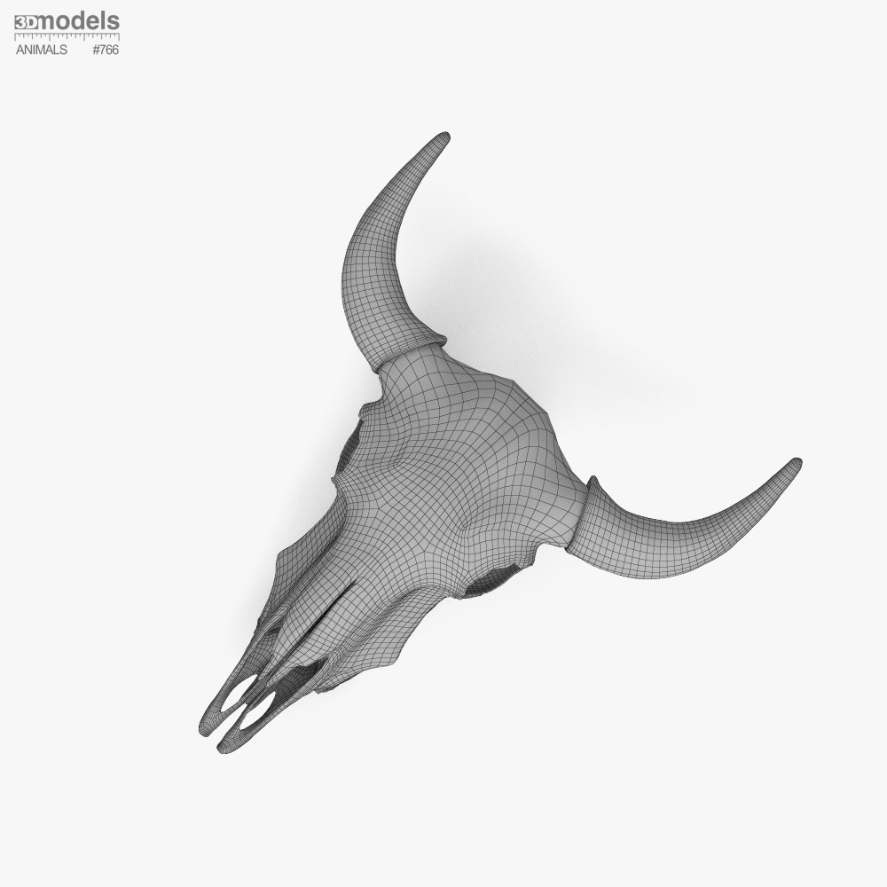 Buffalo Bison Skull 3D model - Download Mammals on 3DModels.org