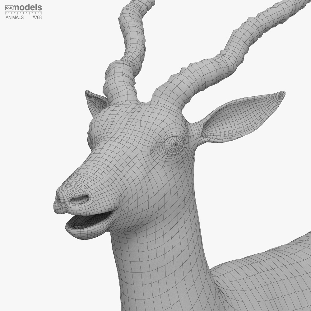 Blackbuck 3D model - Download Mammals on 3DModels.org