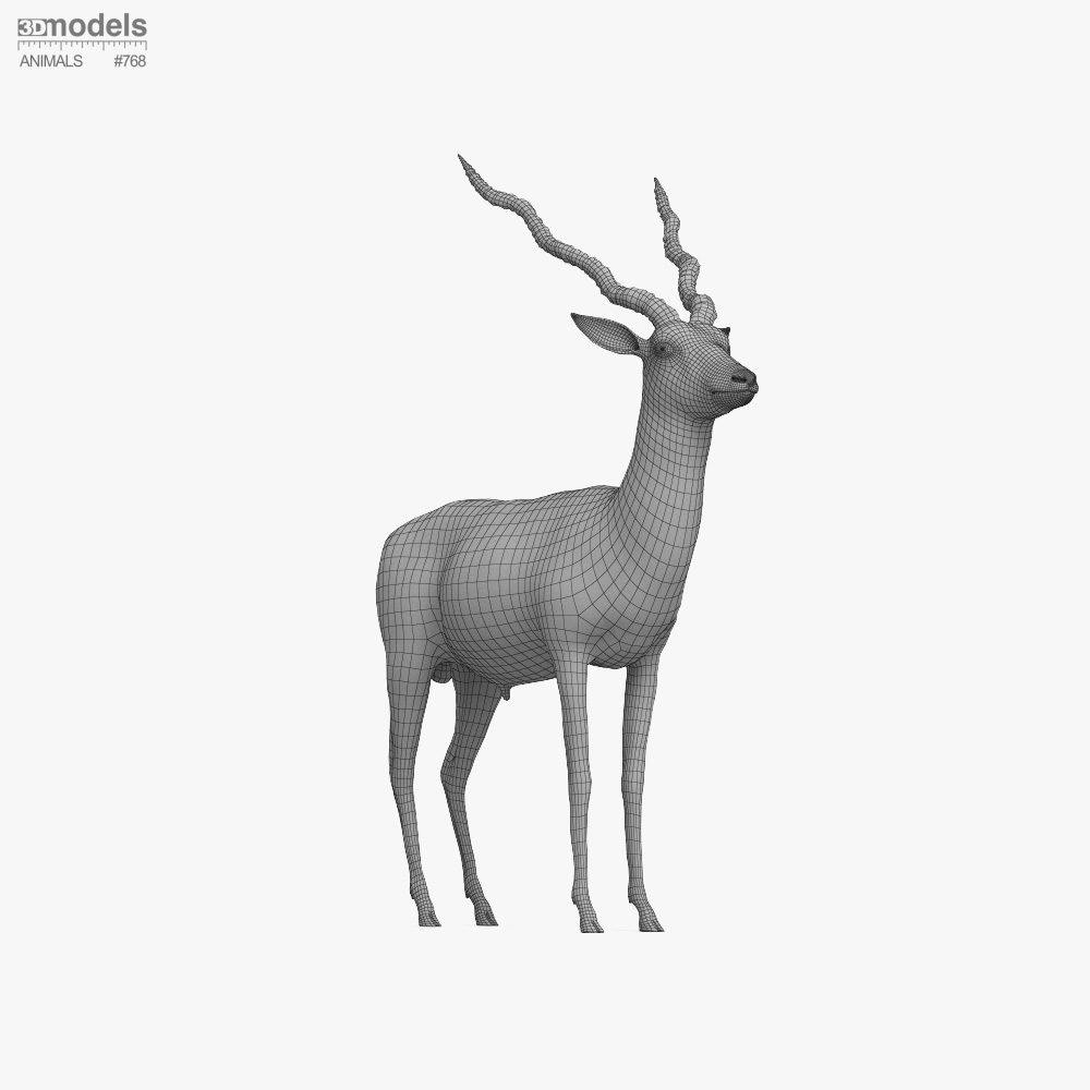 Blackbuck 3D model - Download Mammals on 3DModels.org