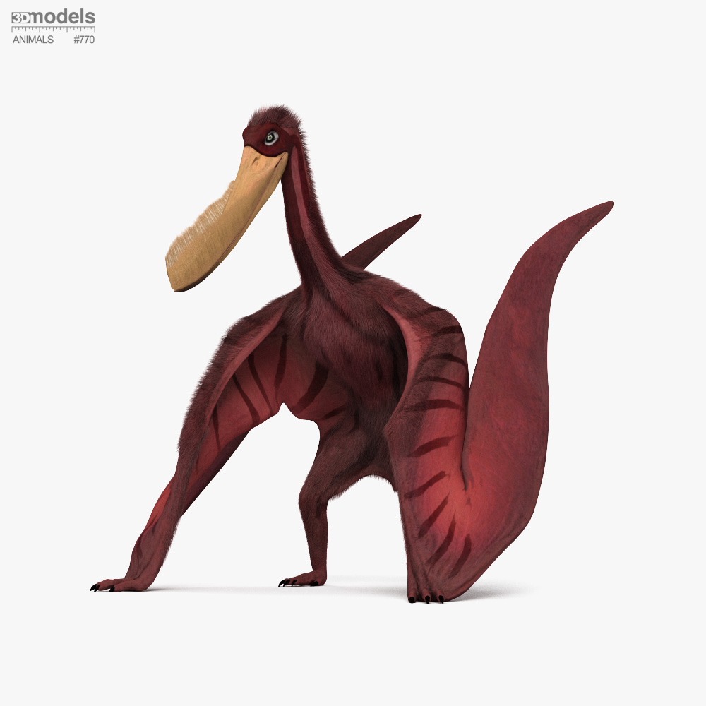 Pterodaustro 3D model - Download Dinosaur on 3DModels.org