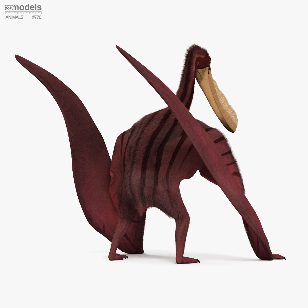 Pterodaustro 3D model - Download Dinosaur on 3DModels.org