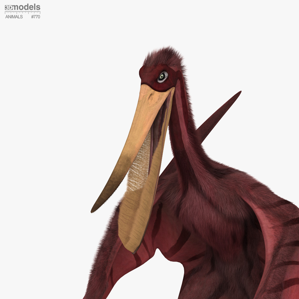 Pterodaustro Modelo 3D - Descargar Dinosaurio on 3DModels.org