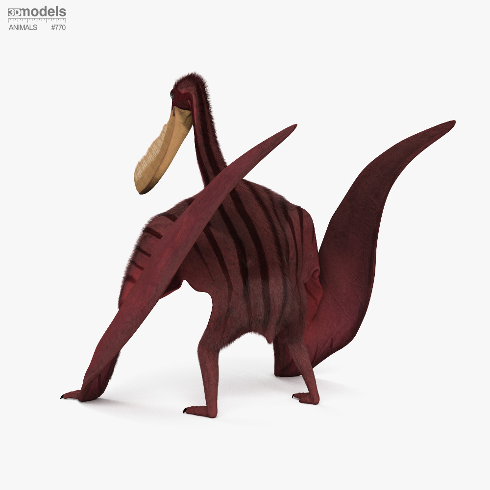 Pterodaustro 3D model - Download Dinosaur on 3DModels.org
