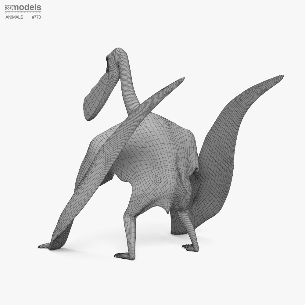 Pterodaustro 3D model - Download Dinosaur on 3DModels.org