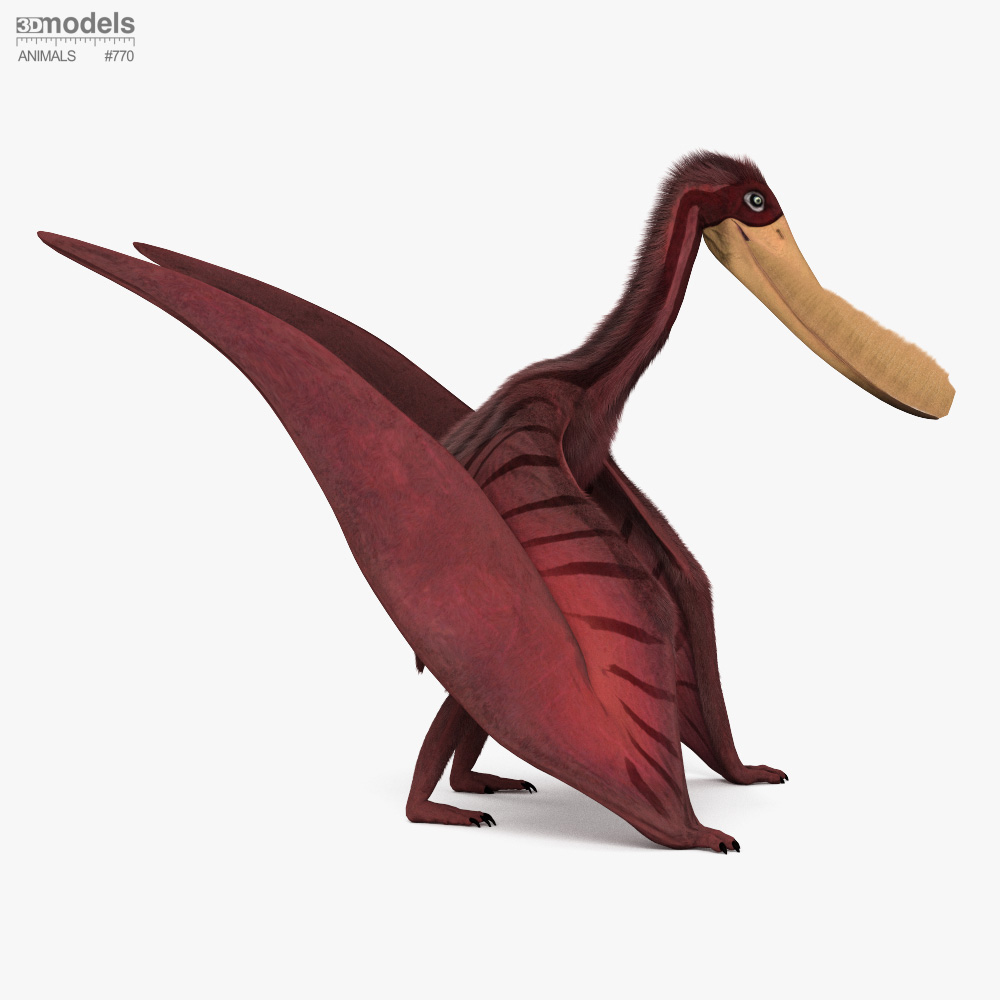 Pterodaustro Modelo 3D - Descargar Dinosaurio on 3DModels.org