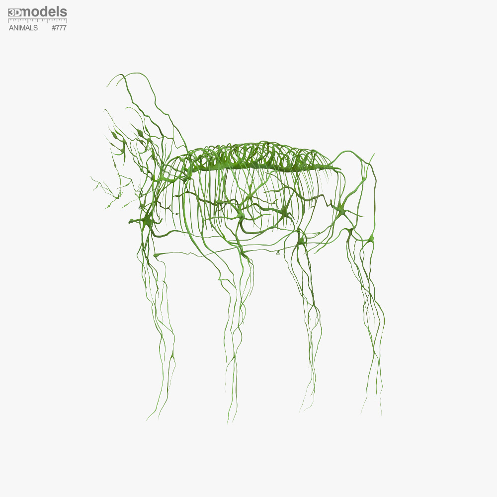 Bull Lymphatic System 3D model - Download Mammals on 3DModels.org