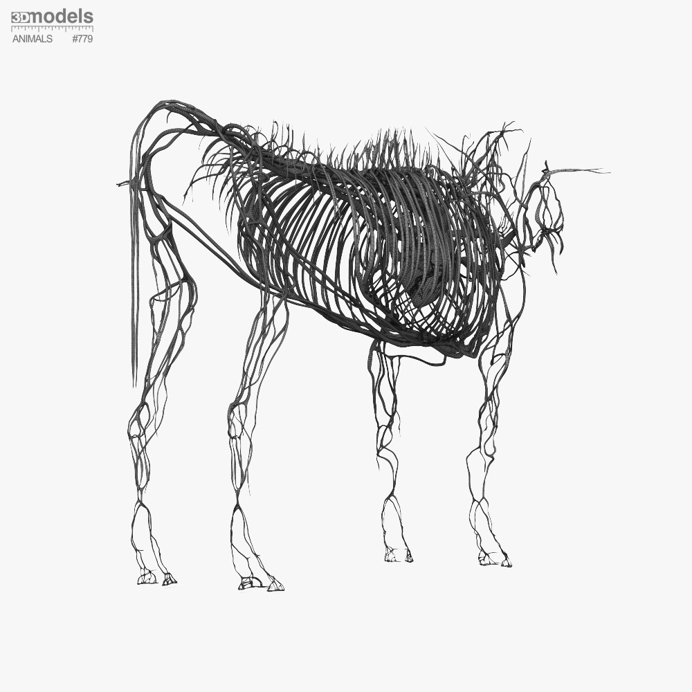 Complete Bull Anatomy 3D model - Download Mammals on 3DModels.org
