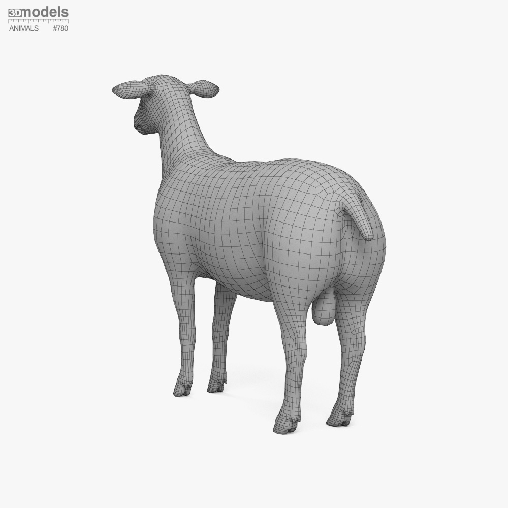 Suffolk Sheep 3D model - Download Mammals on 3DModels.org