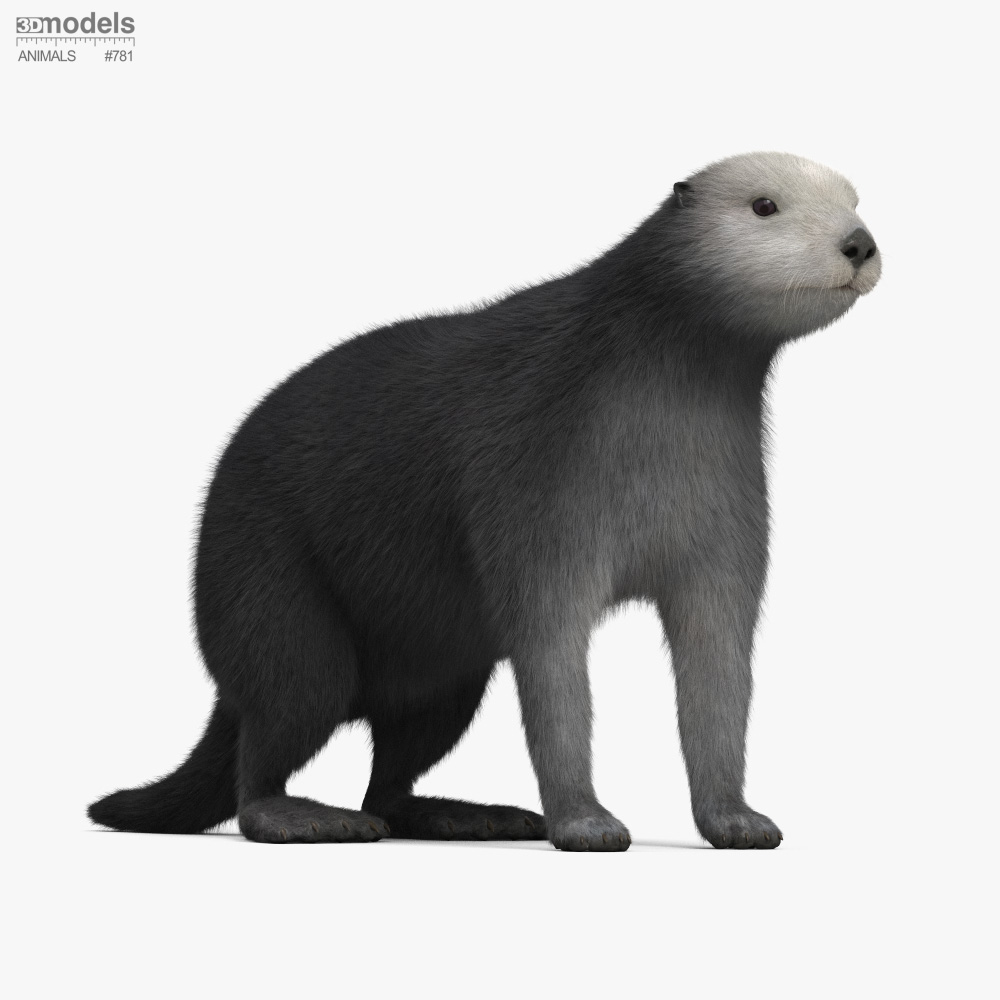 Lontra Marinha Modelo 3D - Baixar Mamíferos no 3DModels.org