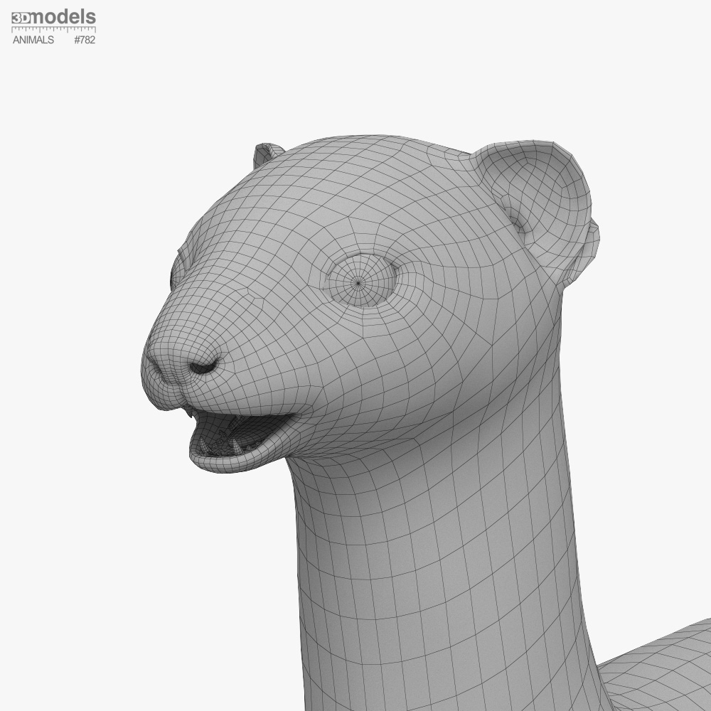 Least Weasel 3D model - Download Mammals on 3DModels.org
