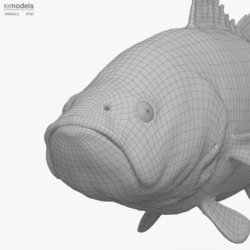 Largemouth Bass 3D model - Download Fish on 3DModels.org
