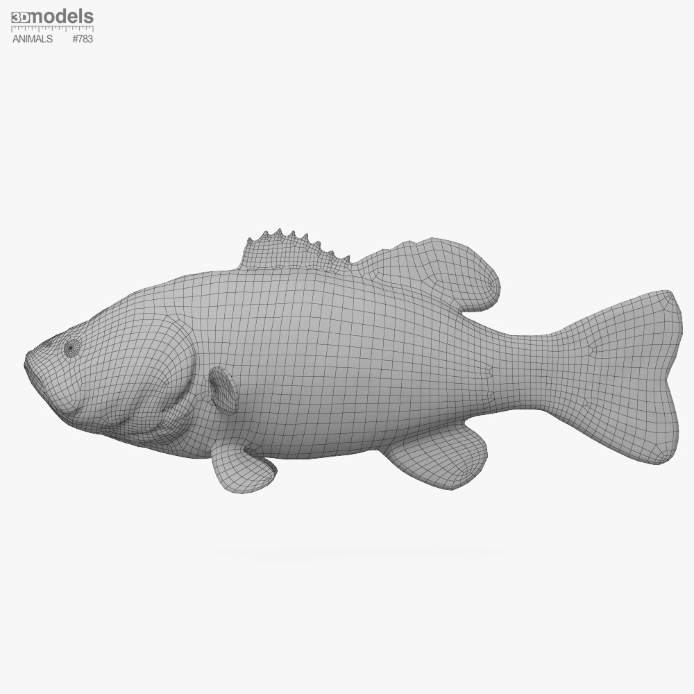 Largemouth Bass 3D model - Download Fish on 3DModels.org
