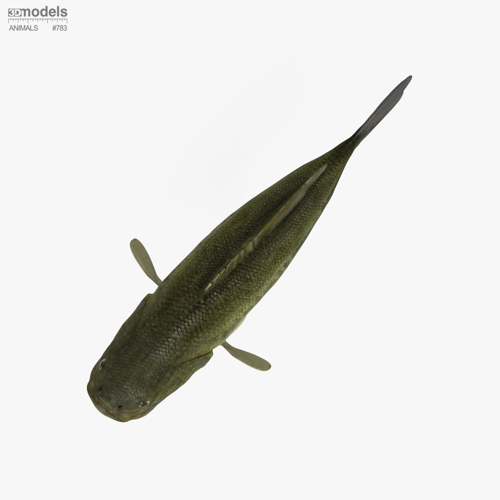 Largemouth Bass 3D model - Download Fish on 3DModels.org