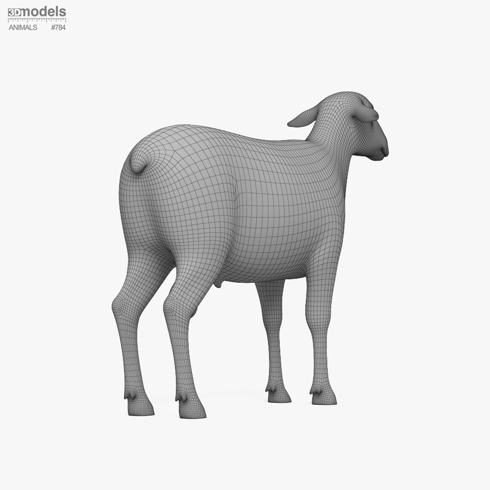 Longwool Sheep 3D 모델 - 다운로드 포유류 on 3DModels.org