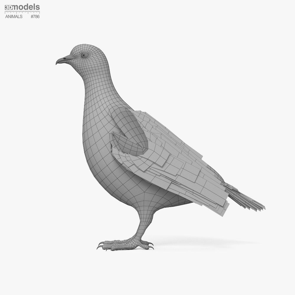 Paloma torcaz Modelo 3D - Descargar Aves on 3DModels.org