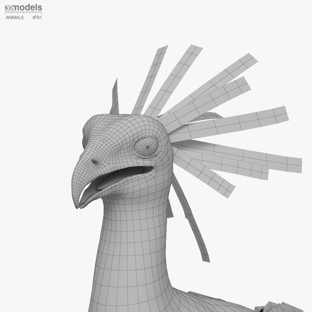Secretarybird 3D model - Download Birds on 3DModels.org