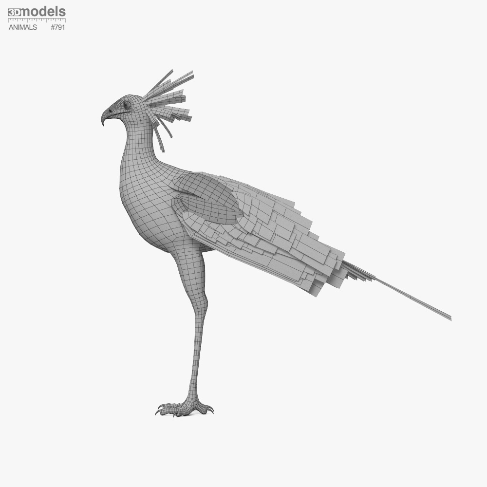 Secretarybird 3D model - Download Birds on 3DModels.org