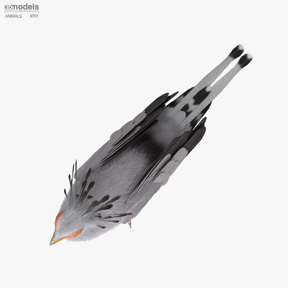 Secretarybird 3D model - Download Birds on 3DModels.org