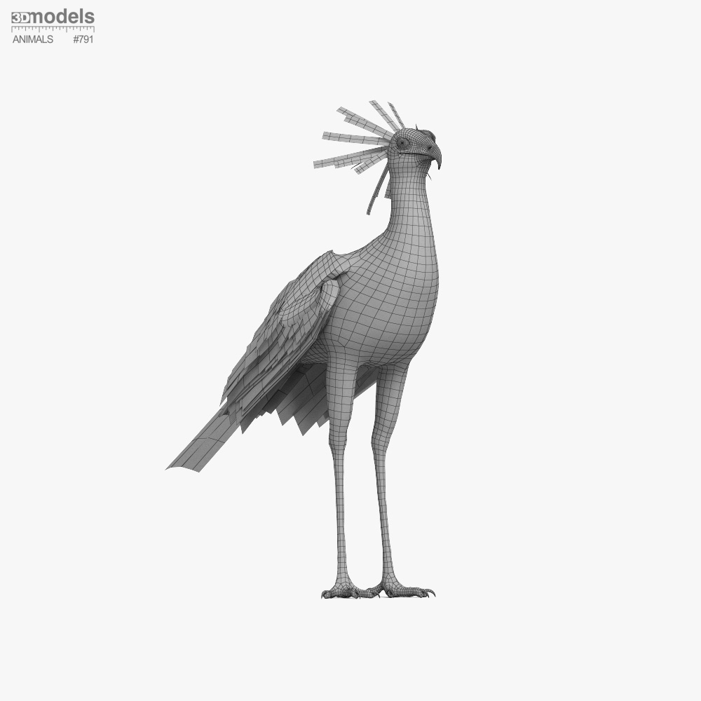 Secretarybird 3D model - Download Birds on 3DModels.org