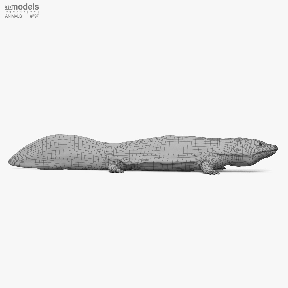 Giant Salamander 3D model - Download Amphibians on 3DModels.org
