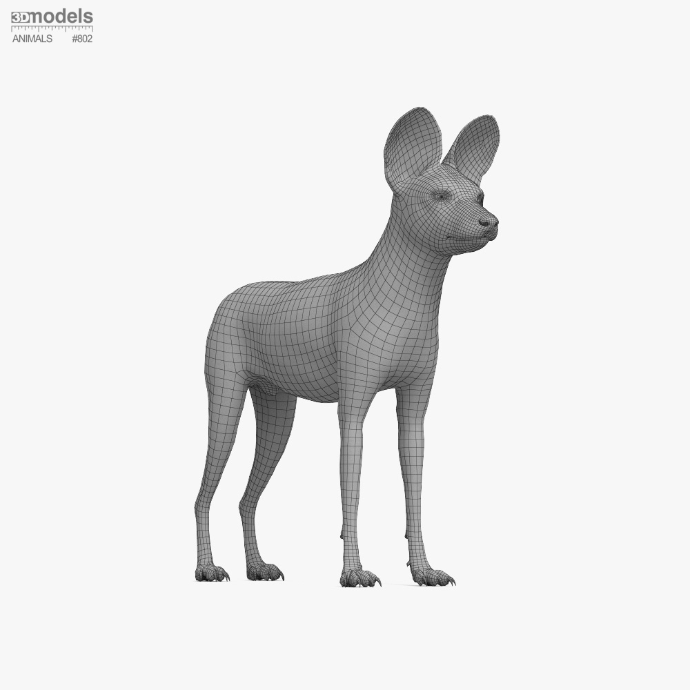 African Wild Dog 3D model - Download Mammals on 3DModels.org