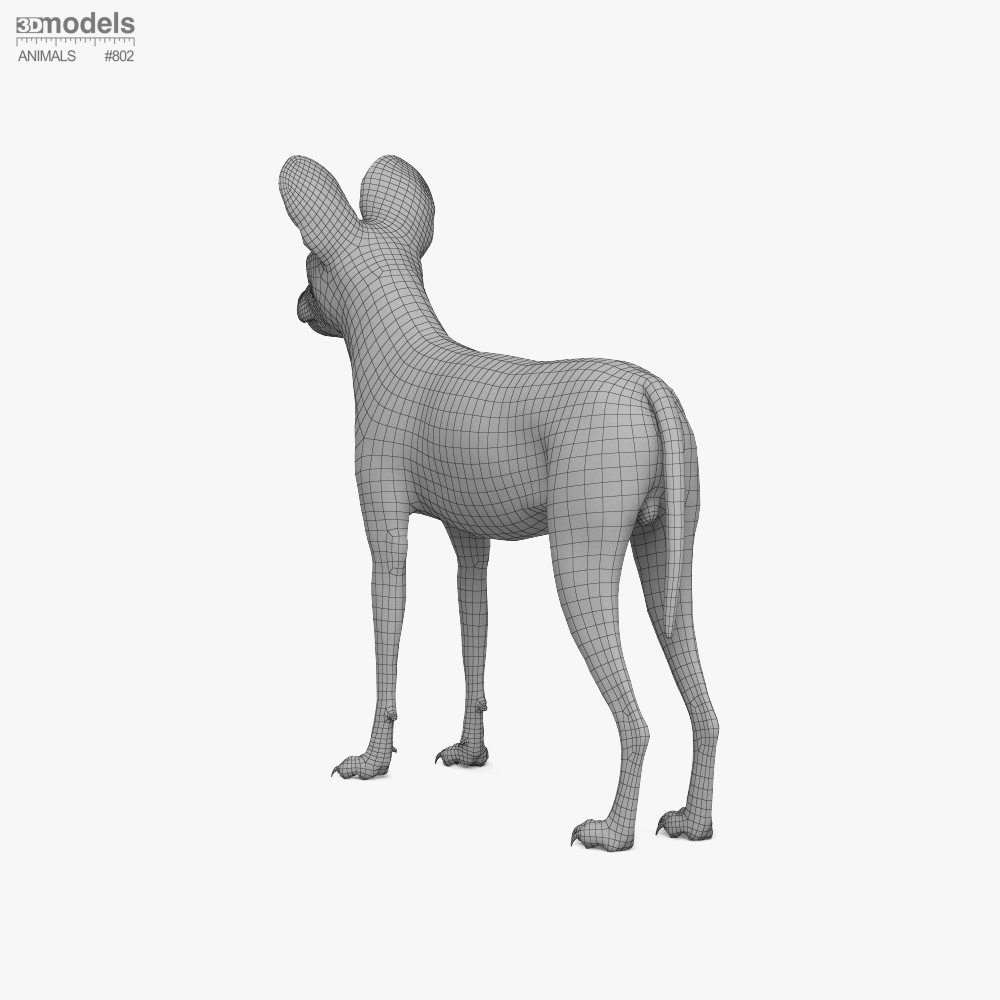 African Wild Dog 3D model - Download Mammals on 3DModels.org