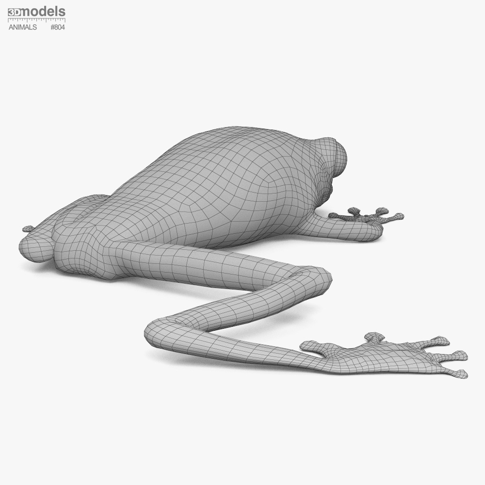 Crawling Red-eyed Tree Frog 3D model - Download Amphibians on 3DModels.org