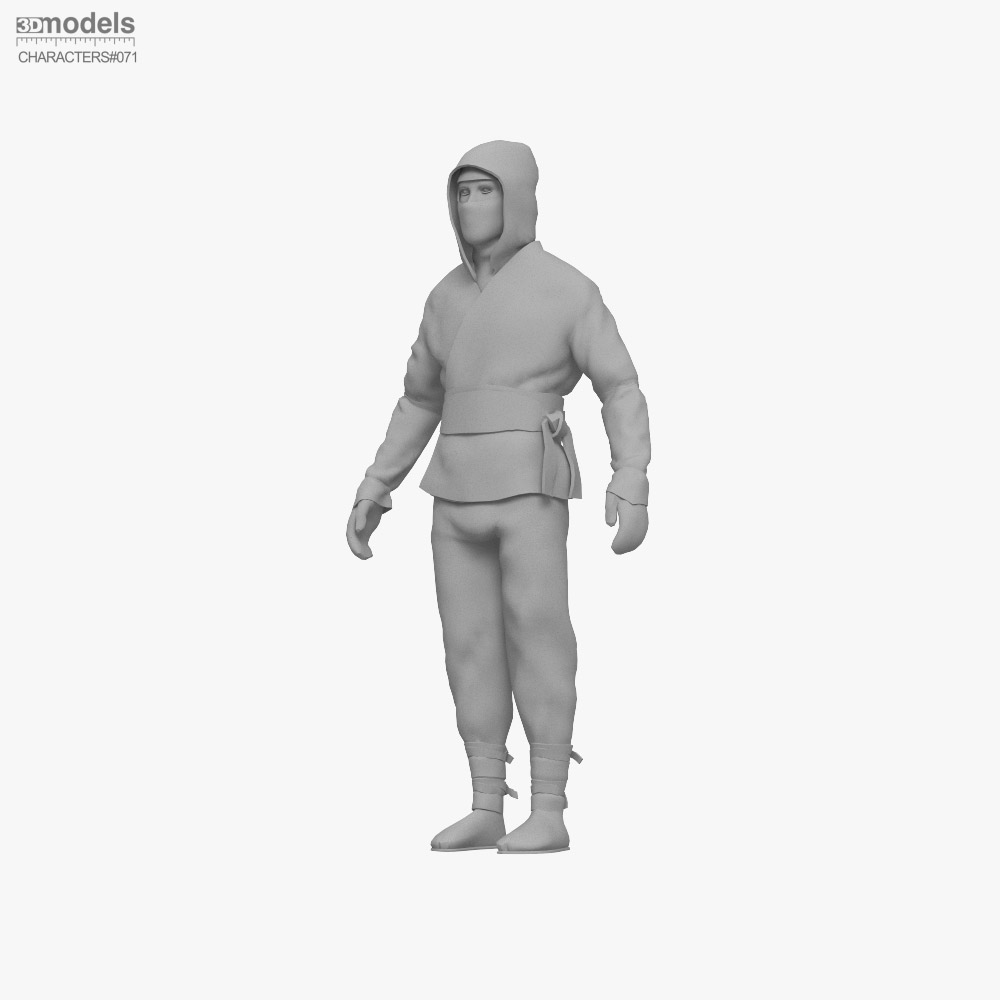 Ninja 3D model - Download Character on 3DModels.org