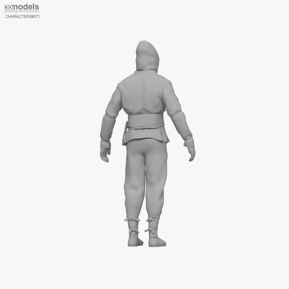 Ninja 3D model - Download Character on 3DModels.org