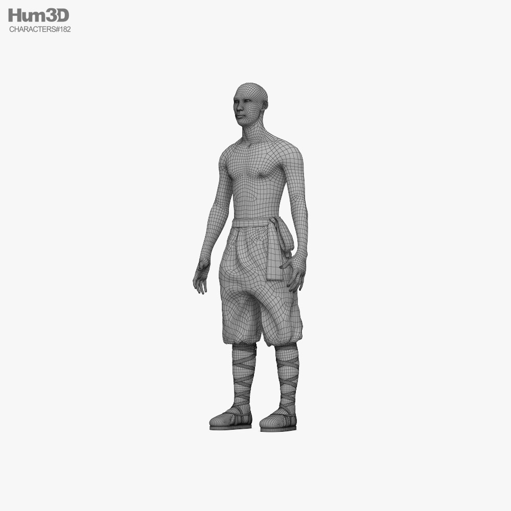 Shaolin Monk 3D model - Download Character on 3DModels.org