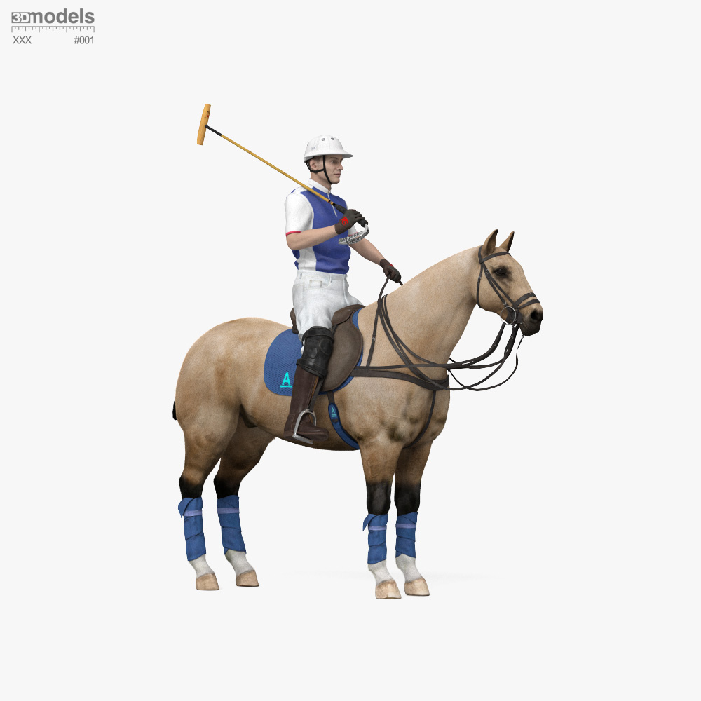 Polo Player on Horse 3D model - Download Character on 3DModels.org
