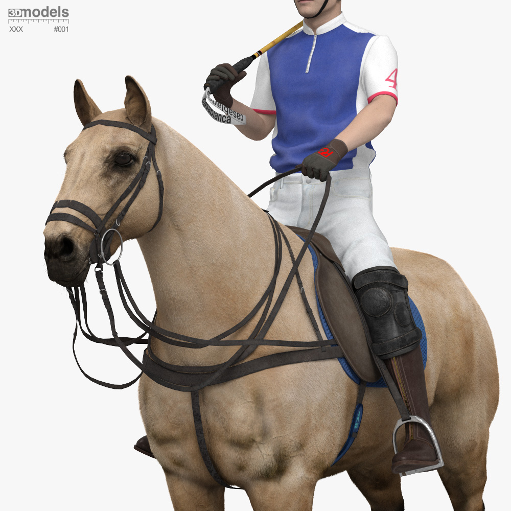 Polo Player on Horse 3D model - Download Character on 3DModels.org