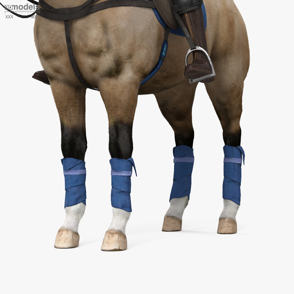 Polo Player on Horse 3D model - Download Character on 3DModels.org