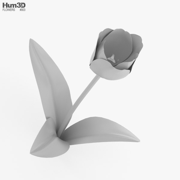 Tulipán Modelo 3D - Descargar Flores on 3DModels.org